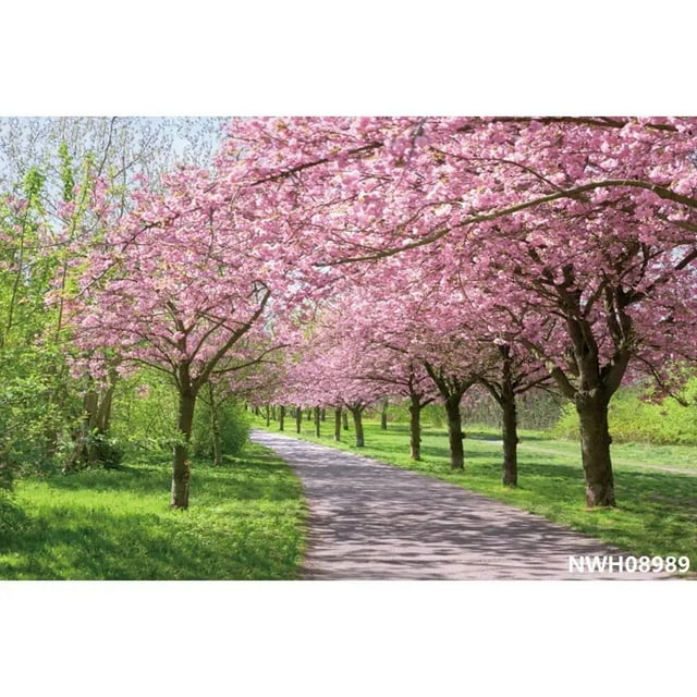 Laeacco Spring Natural Landscape Backgrounds For Photography Forest ...