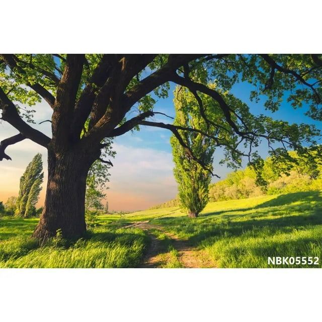 Laeacco Spring Natural Landscape Backgrounds For Photography Forest ...