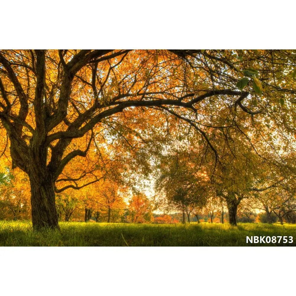 Laeacco Spring Natural Landscape Backgrounds For Photography Forest ...