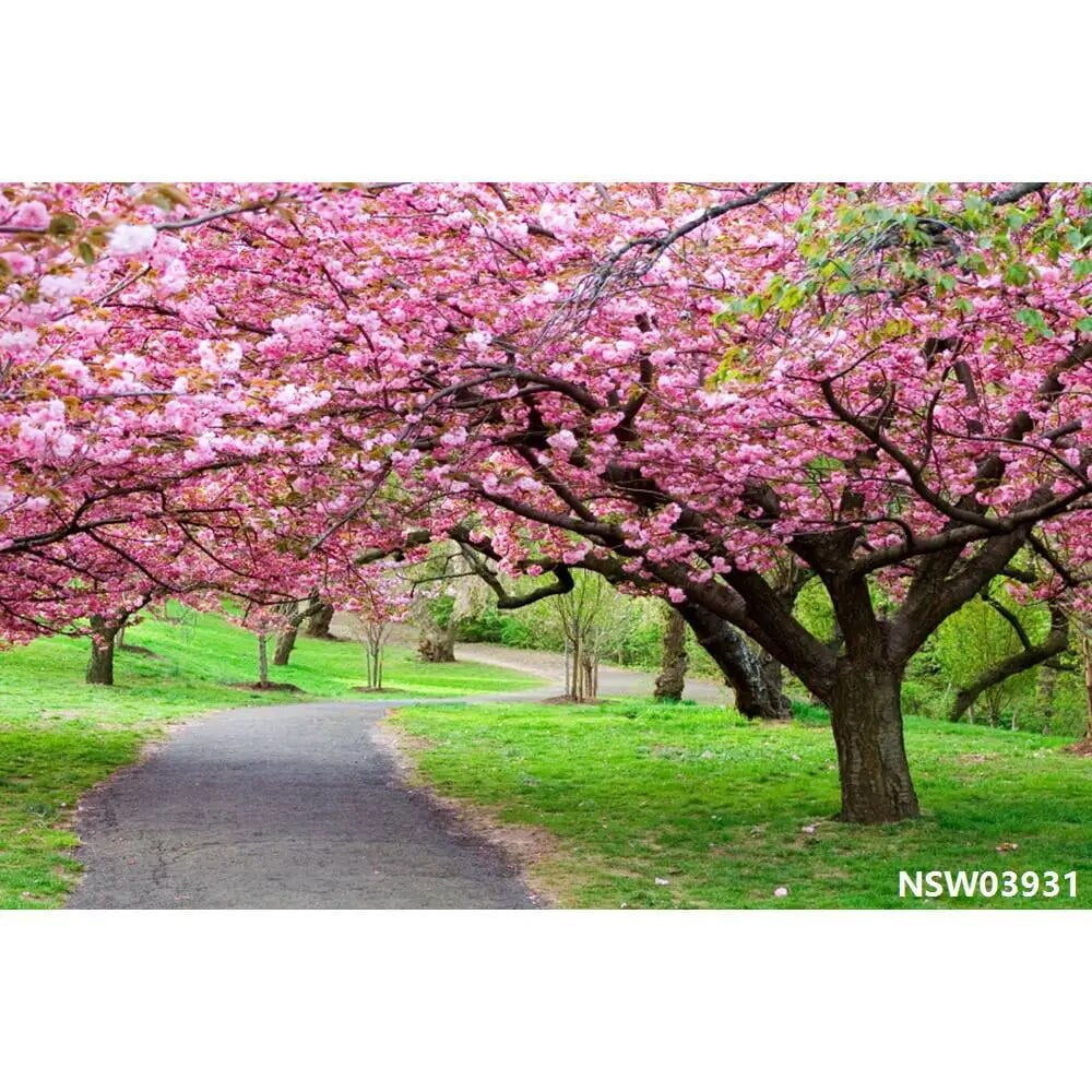 Laeacco Spring Natural Landscape Backgrounds For Photography Forest ...