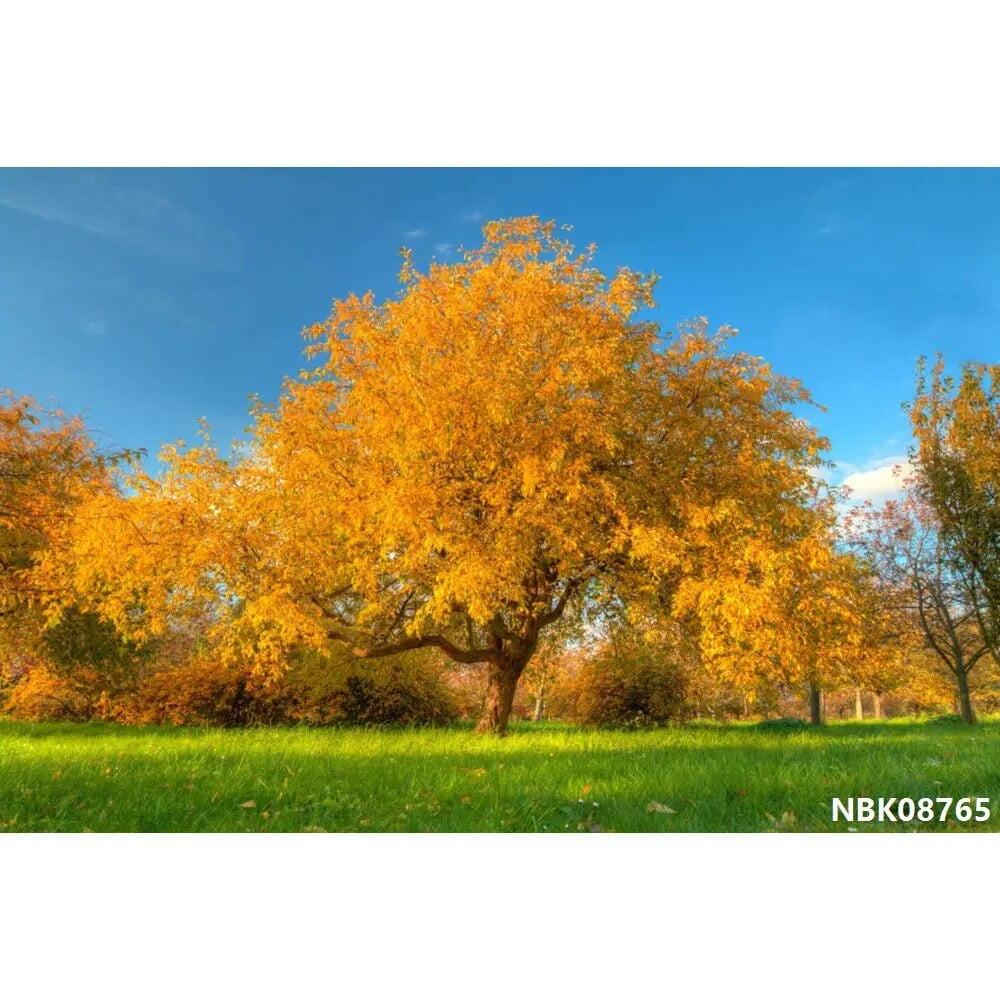 Laeacco Spring Natural Landscape Backgrounds For Photography Forest ...