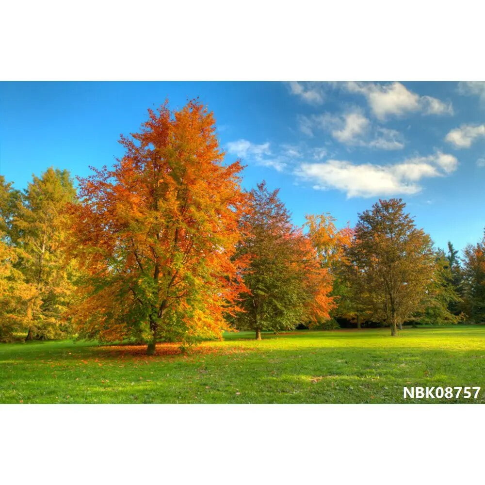 Laeacco Spring Natural Landscape Backgrounds For Photography Forest ...