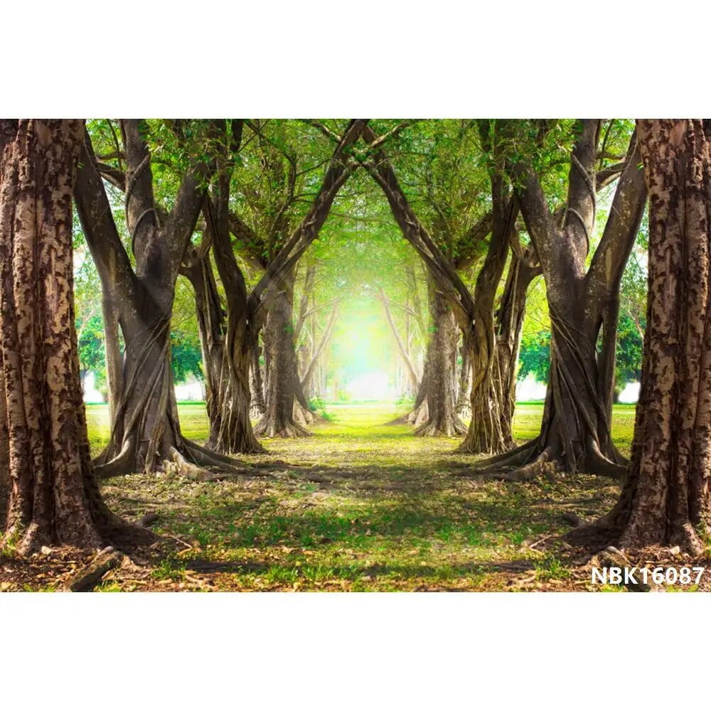 Laeacco Spring Natural Landscape Backgrounds For Photography Forest ...