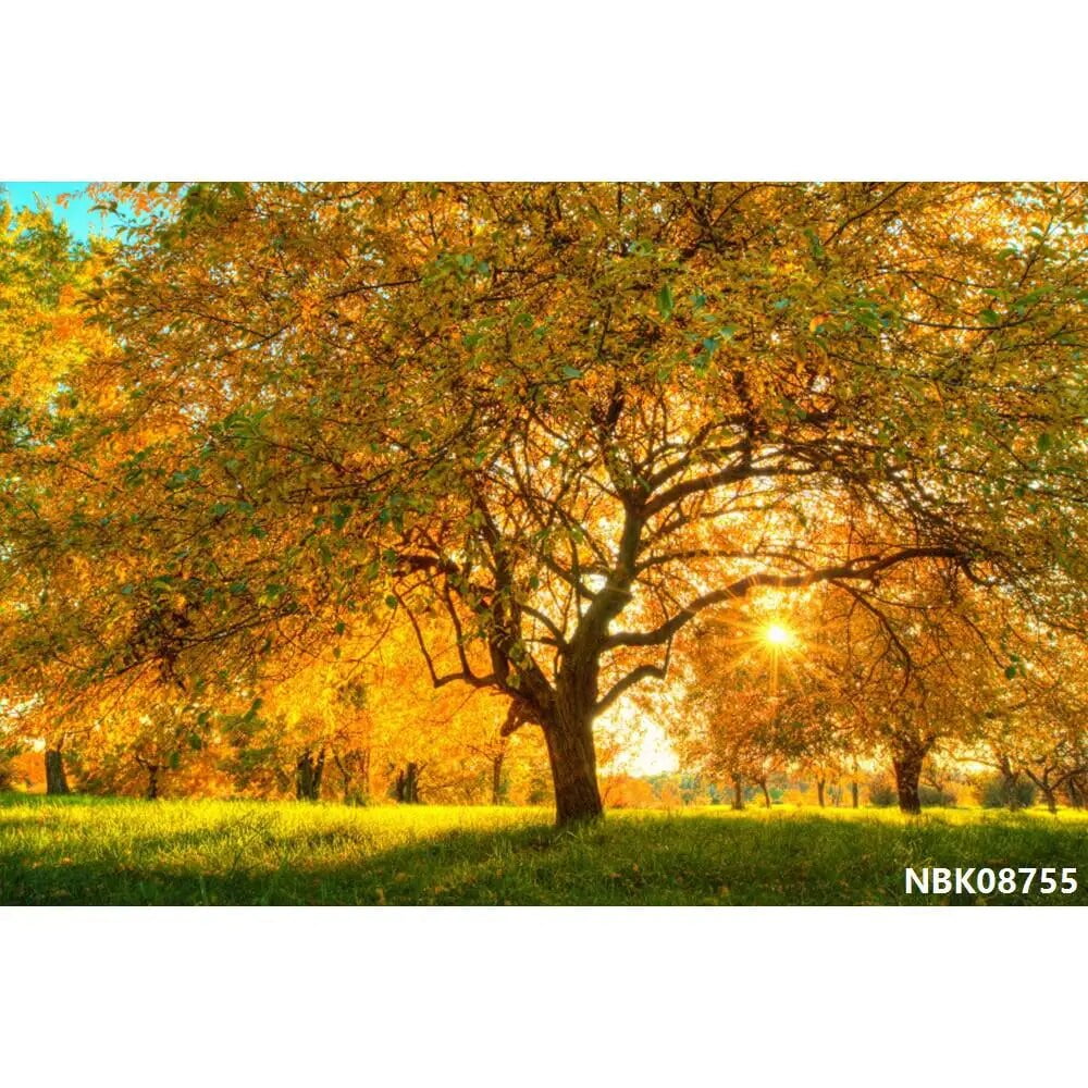 Laeacco Spring Natural Landscape Backgrounds For Photography Forest ...