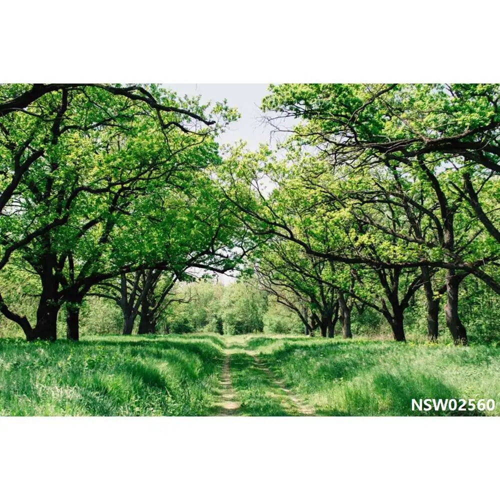 Laeacco Spring Natural Landscape Backgrounds For Photography Forest ...