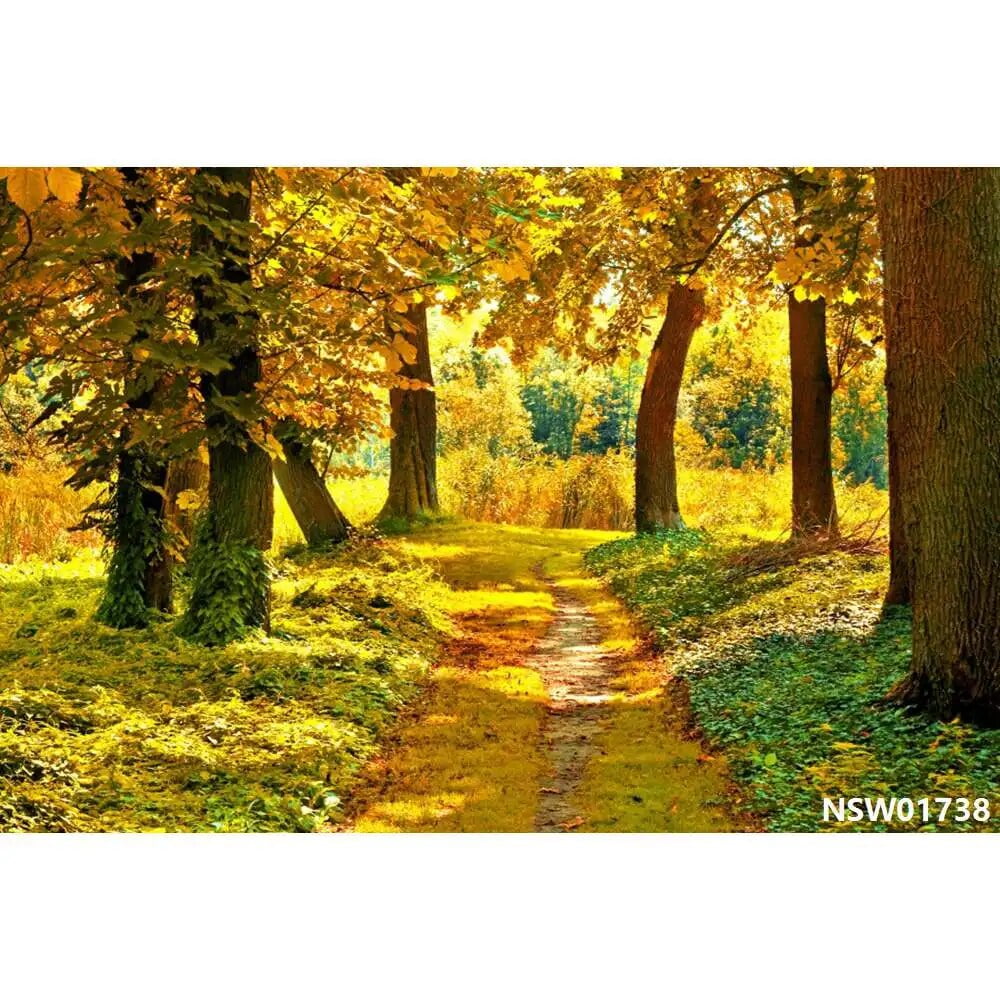 Laeacco Spring Natural Landscape Backgrounds For Photography Forest ...