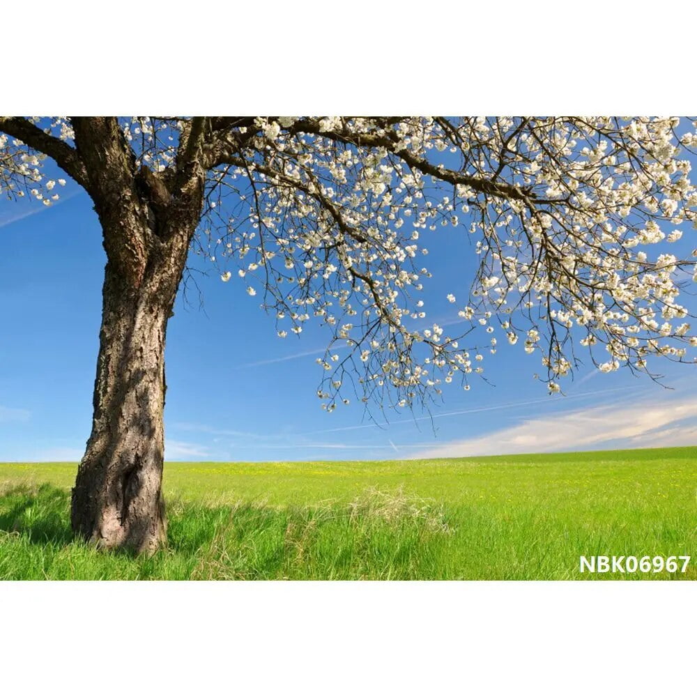 Laeacco Spring Natural Landscape Backgrounds For Photography Forest ...