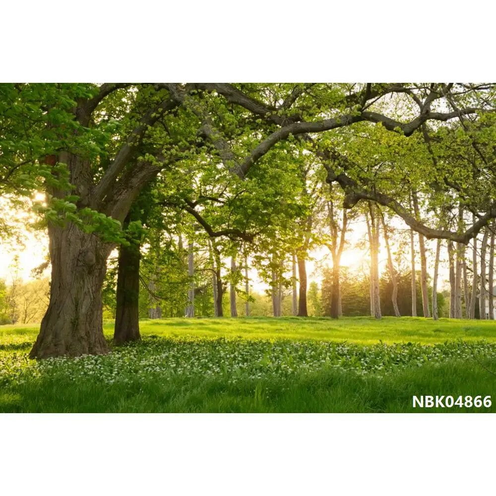 Laeacco Spring Natural Landscape Backgrounds For Photography Forest ...