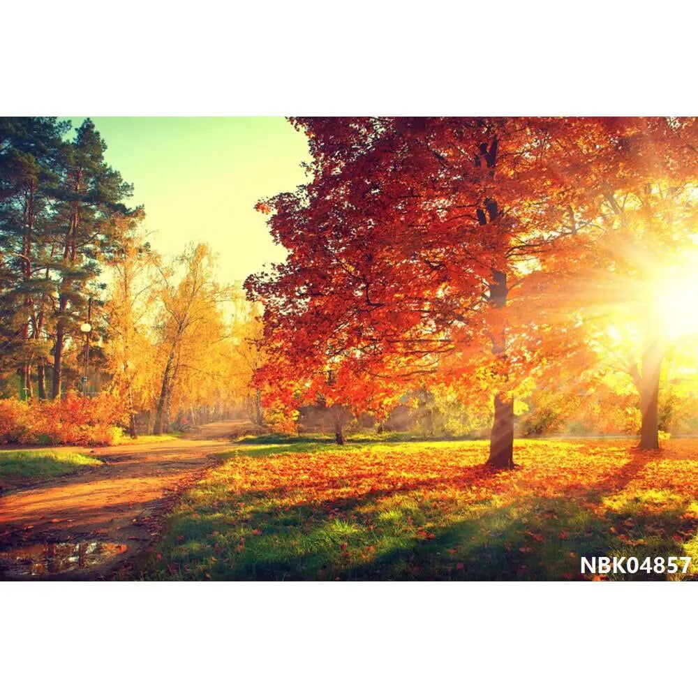 Laeacco Spring Natural Landscape Backgrounds For Photography Forest ...