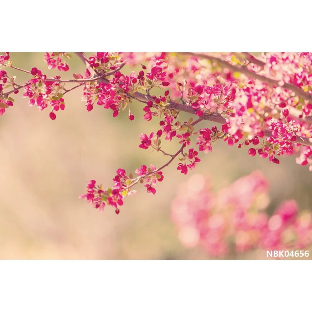 Laeacco Spring Photophone Flowers Blossom Bokeh Photography Backdrops ...