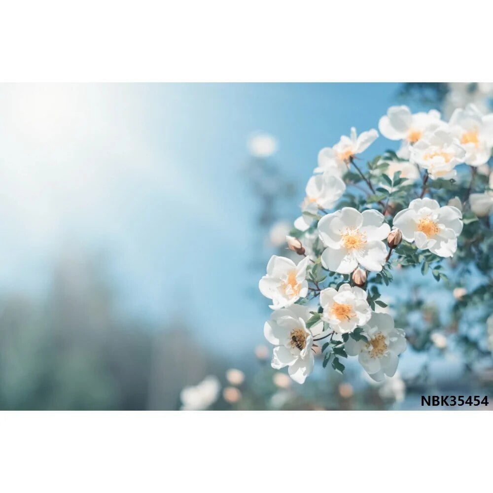 Laeacco Spring Photophone Flowers Blossom Bokeh Photography Backdrops ...