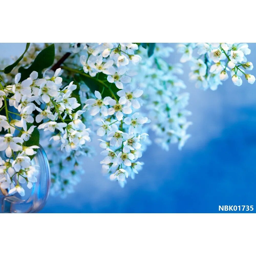 Laeacco Spring Photophone Flowers Blossom Bokeh Photography Backdrops ...
