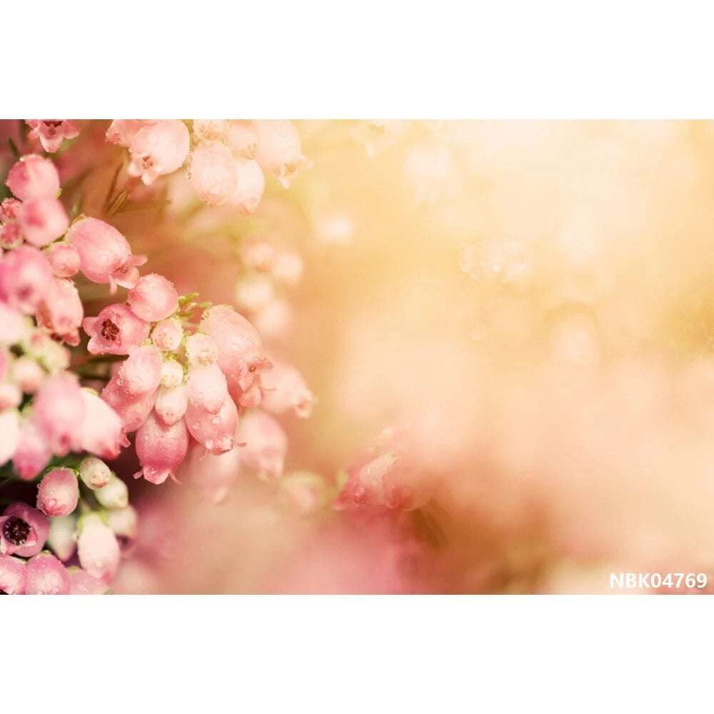 Laeacco Spring Photophone Flowers Blossom Bokeh Photography Backdrops ...
