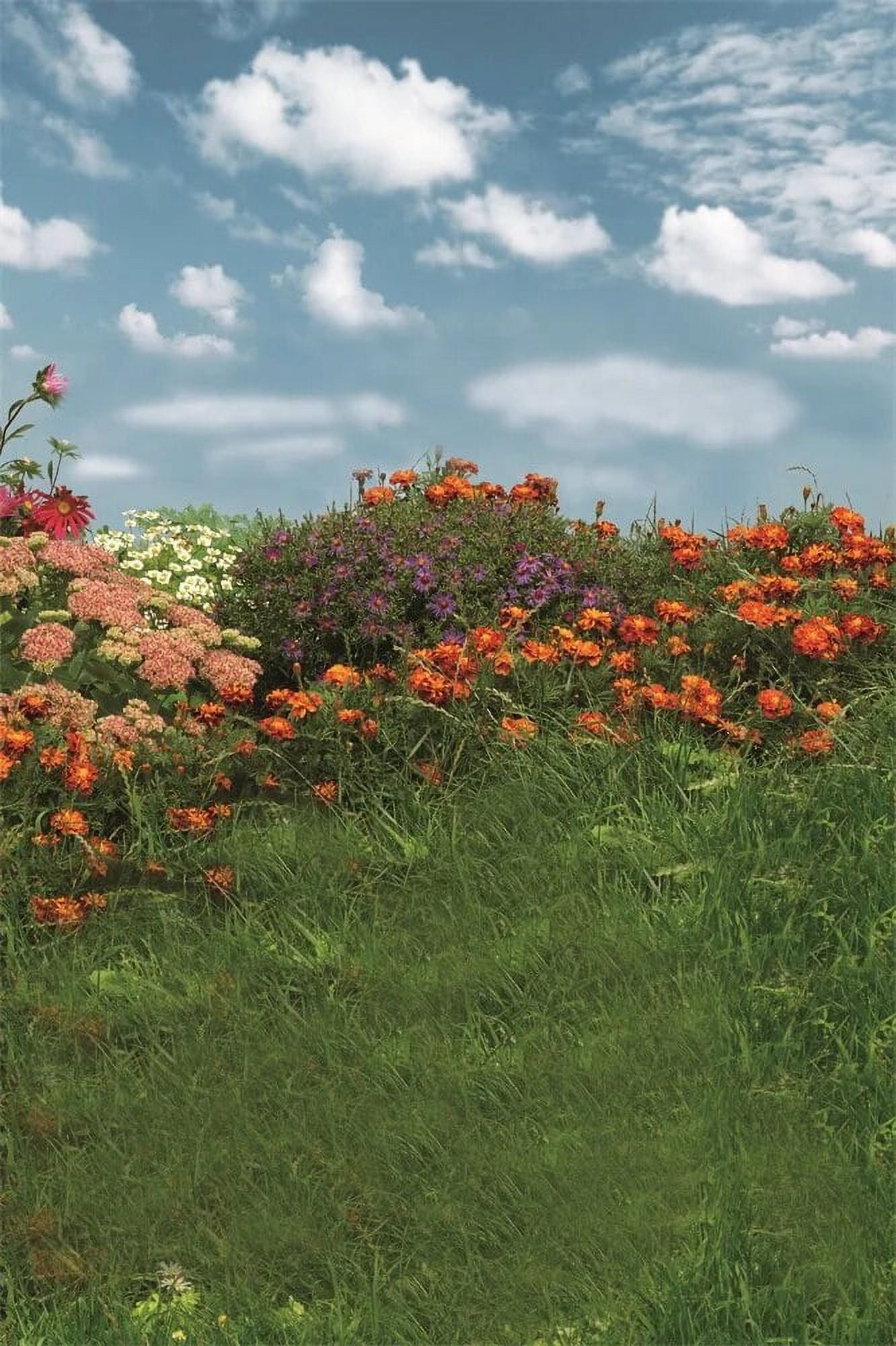 Laeacco Spring Scenery Photography Backgrounds Green Forest Blooming ...