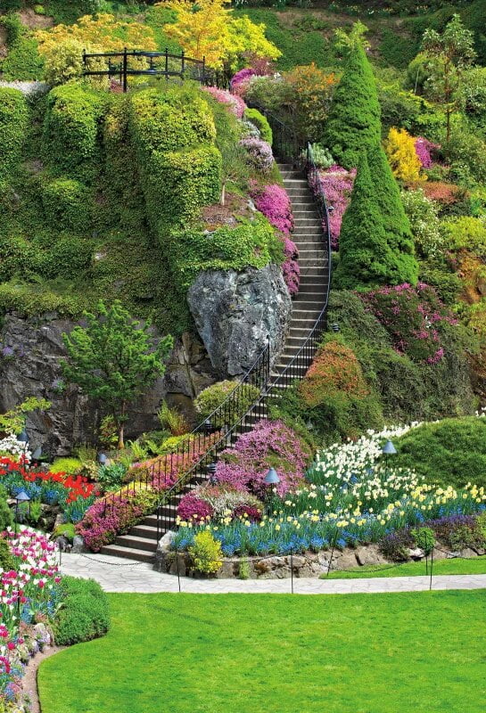 Laeacco Spring Scenery Photography Backgrounds Green Forest Blooming ...