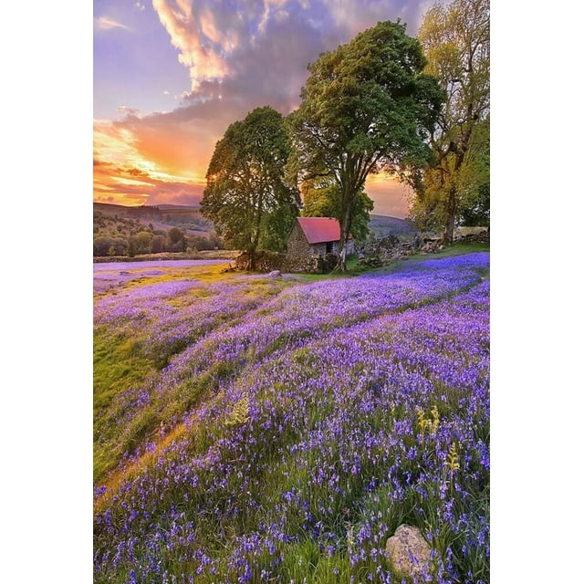 Laeacco Spring Scenery Photography Backgrounds Green Forest Blooming ...