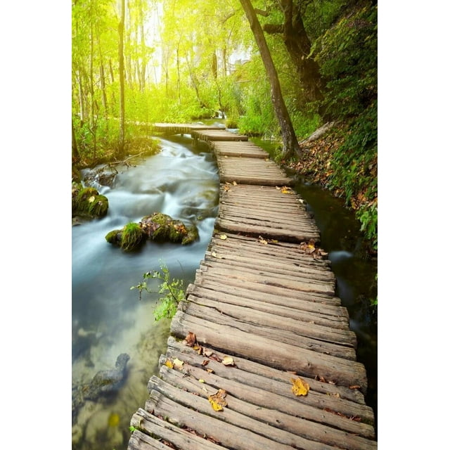 Laeacco Spring Scenery Photography Backgrounds Green Forest Blooming ...