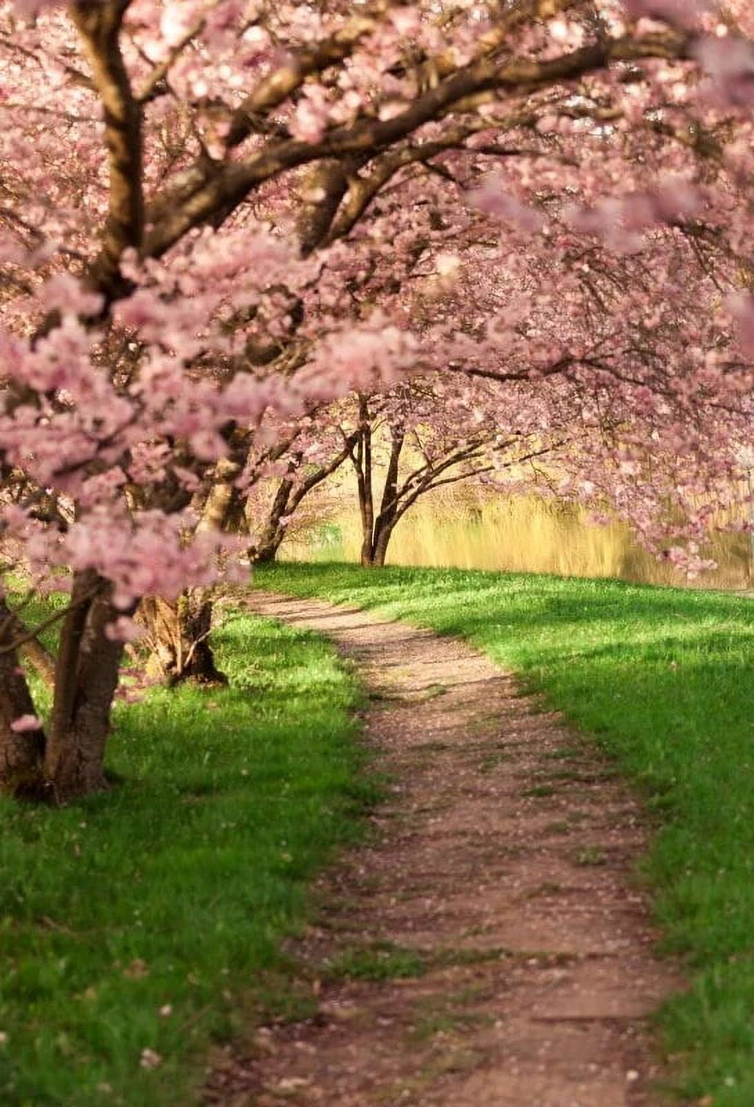 Laeacco Spring Scenery Photography Backgrounds Green Forest Blooming ...