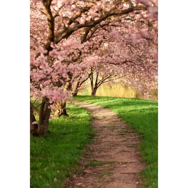 Laeacco Spring Scenery Photography Backgrounds Green Forest Blooming ...