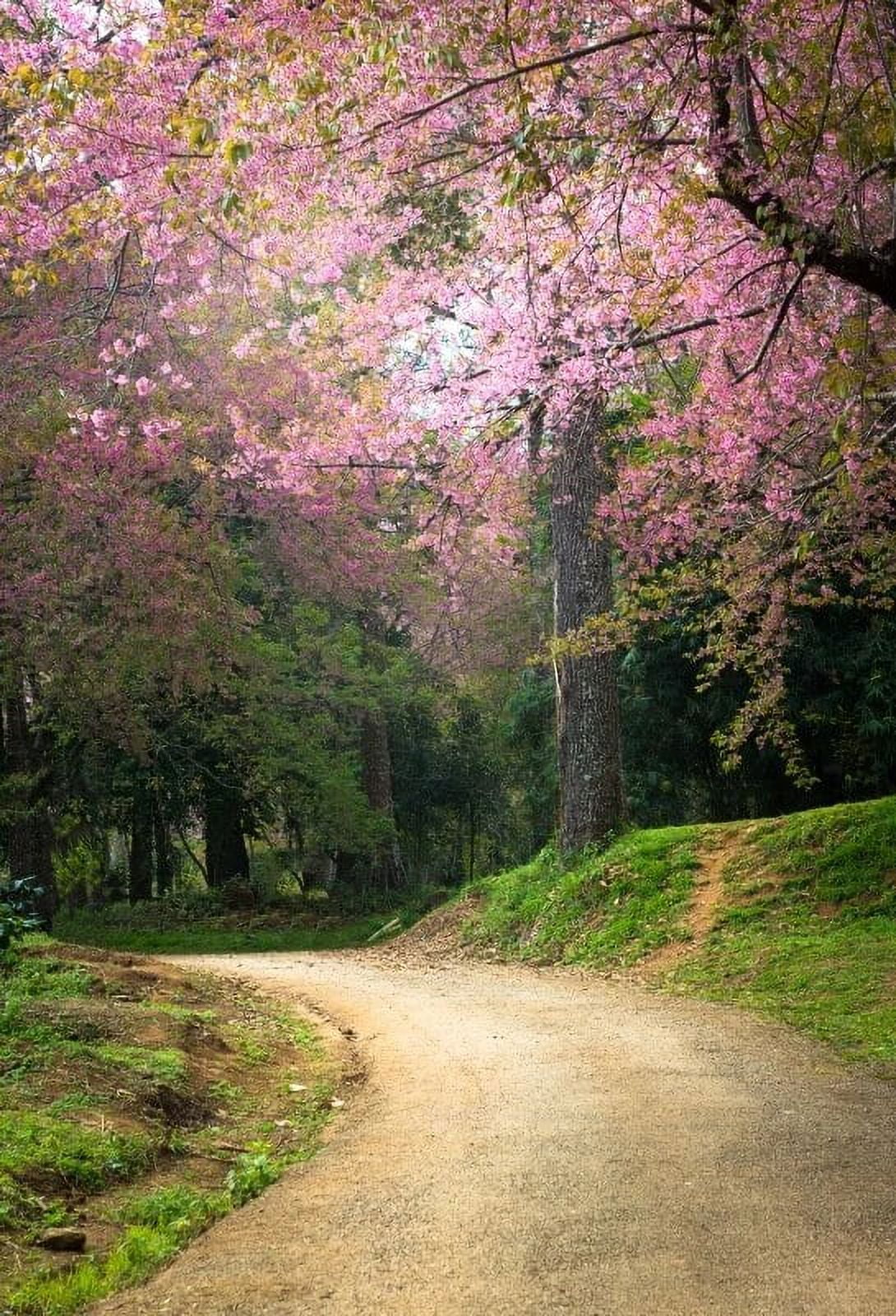Laeacco Spring Scenery Photography Backgrounds Green Forest Blooming ...