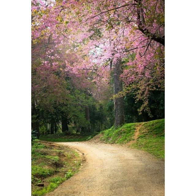 Laeacco Spring Scenery Photography Backgrounds Green Forest Blooming ...