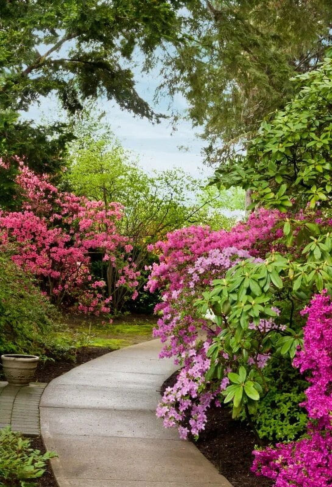 Laeacco Spring Scenery Photography Backgrounds Green Forest Blooming ...