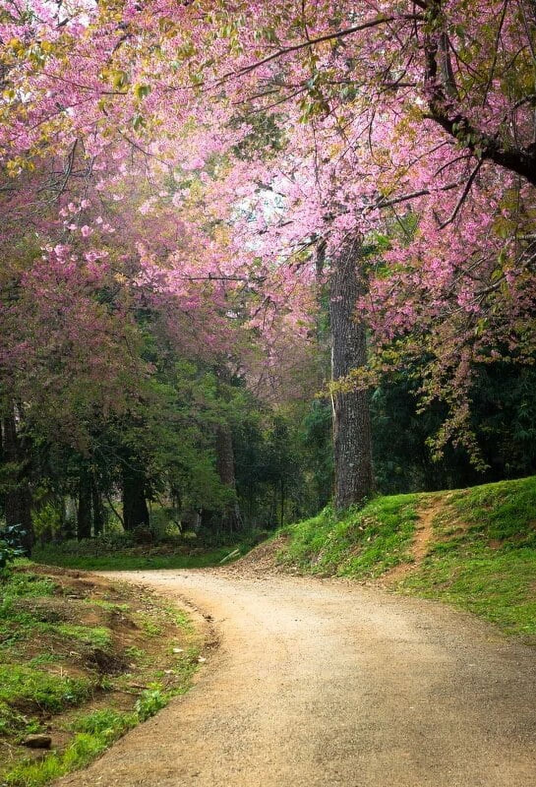 Laeacco Spring Scenery Photography Backgrounds Green Forest Blooming ...