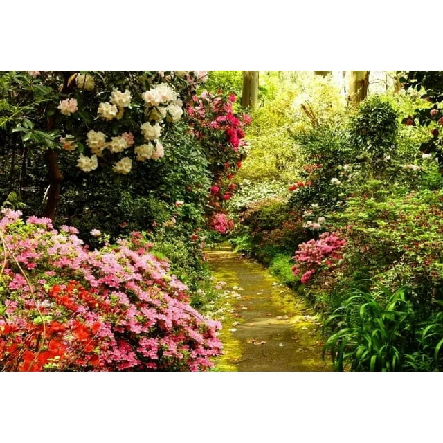 Laeacco Spring Secret Garden Photography Backdrop Colorful Flower ...
