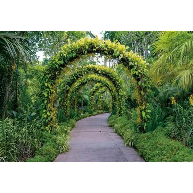 Laeacco Spring Secret Garden Photography Backdrop Colorful Flower ...