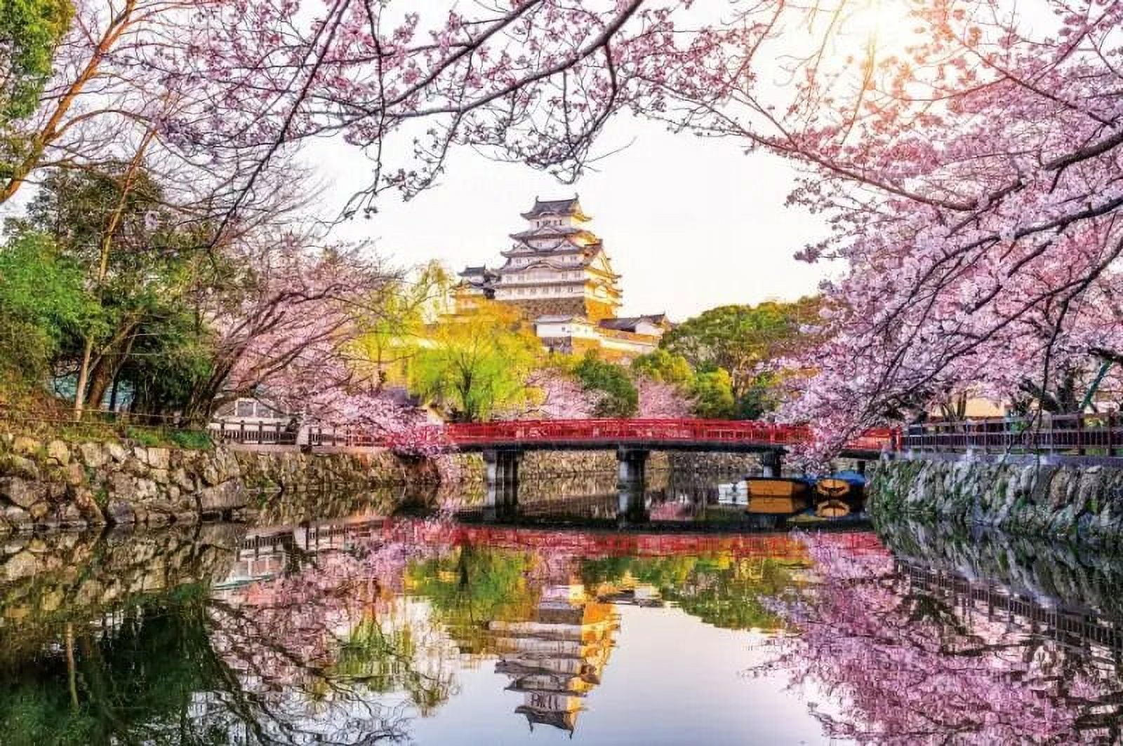 Laeacco Spring Secret Garden Photography Backdrop Colorful Flower Floral Blossom Baby Shower ...