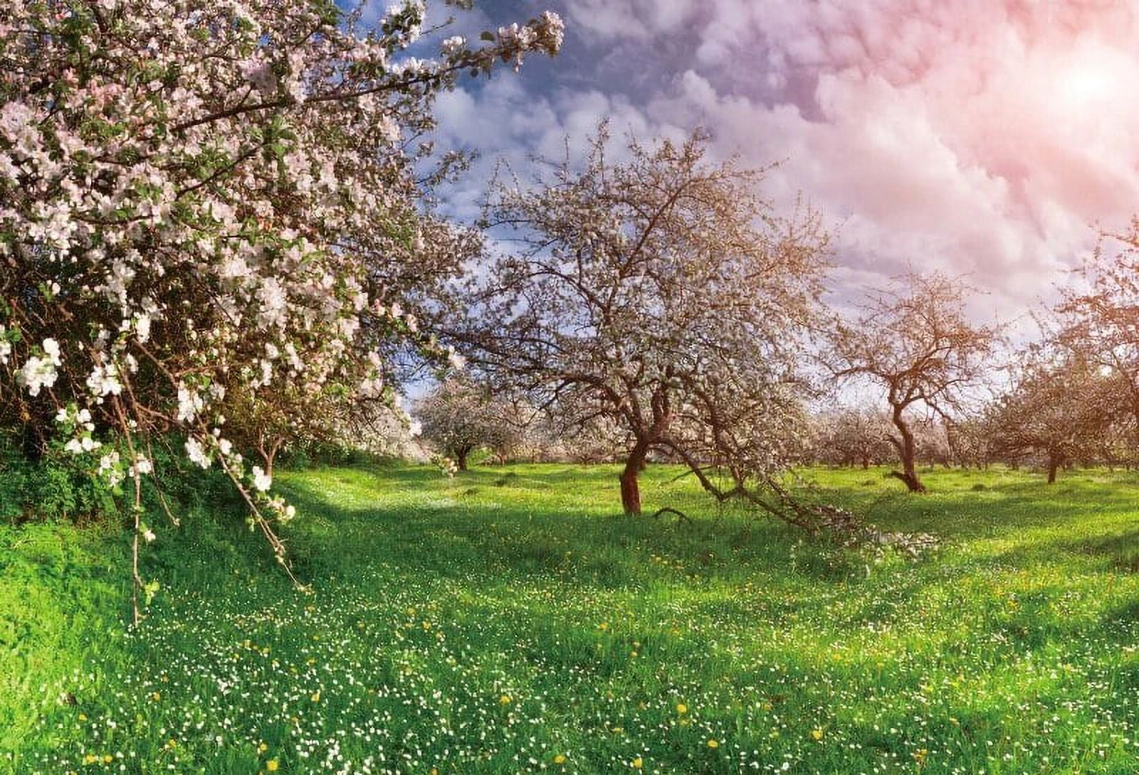 Laeacco Spring Secret Garden Photography Backdrop Colorful Flower ...