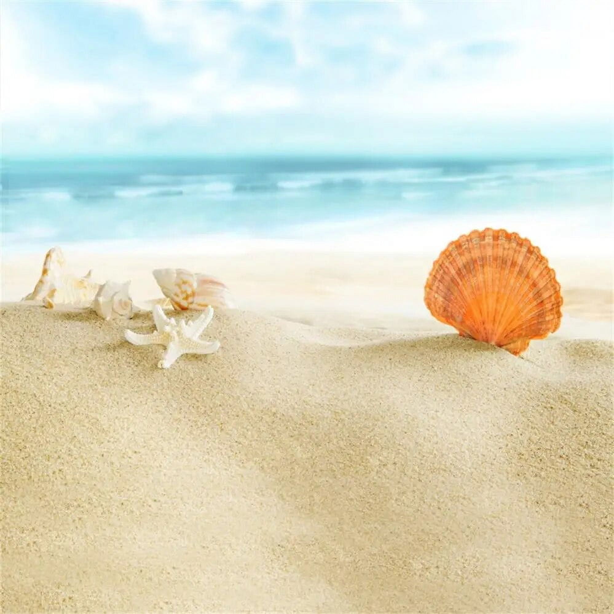 Laeacco StarShells Summer Beach Sunshine Sea Portrait Scene ...