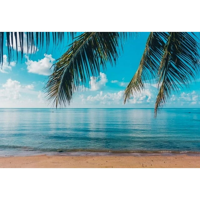 Laeacco Summer Sea Backdrops Sky Clouds Tropical Beach Palms Trees ...