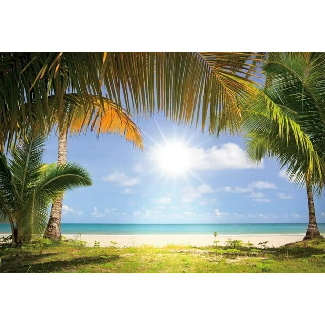 Laeacco Summer Sea Backdrops Sky Clouds Tropical Beach Palms Trees ...