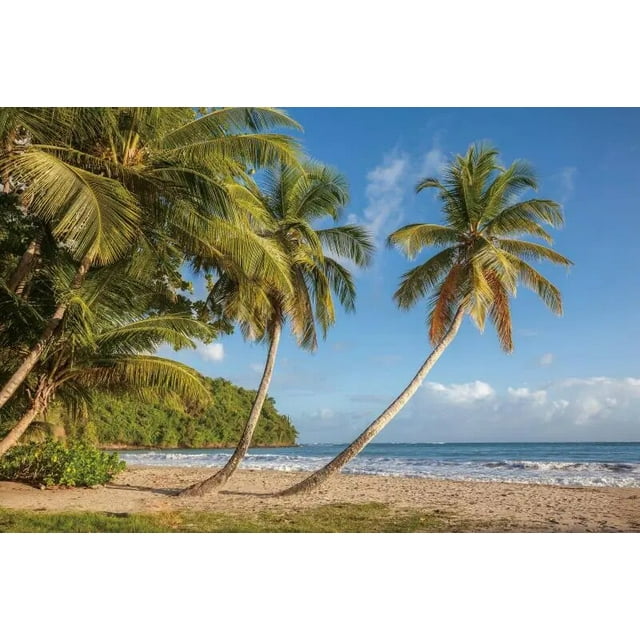 Laeacco Summer Sea Backdrops Sky Clouds Tropical Beach Palms Trees ...