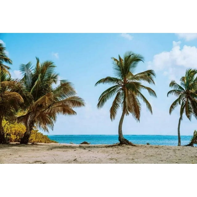 Laeacco Summer Sea Backdrops Sky Clouds Tropical Beach Palms Trees ...