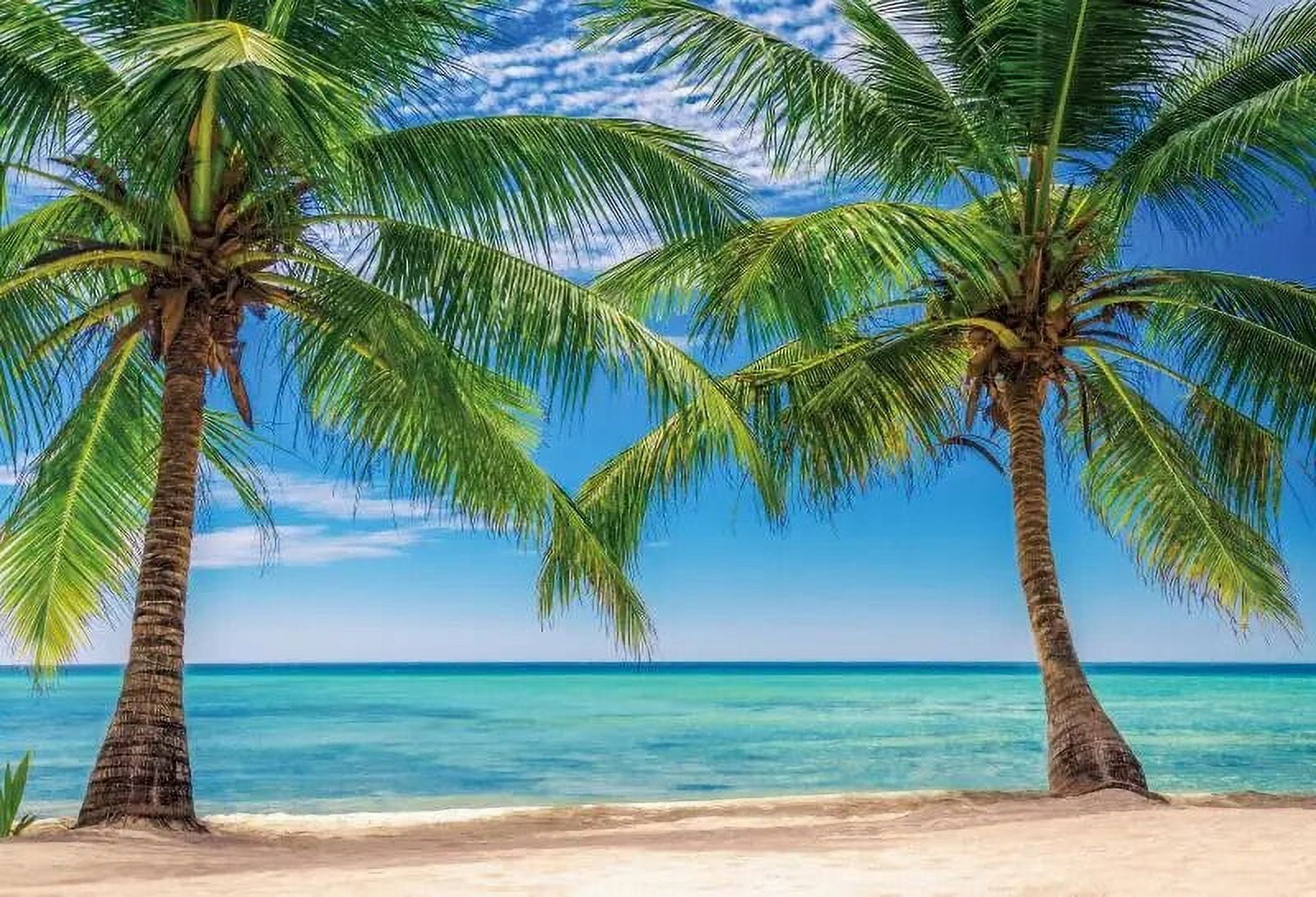 Laeacco Summer Sea Backdrops Sky Clouds Tropical Beach Palms Trees ...