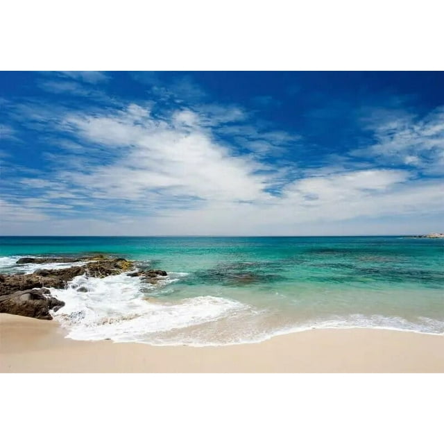 Laeacco Summer Sea Backdrops Sky Clouds Tropical Beach Palms Trees ...