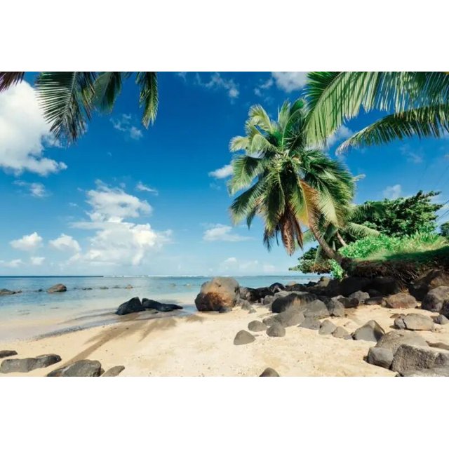 Laeacco Summer Sea Backdrops Sky Clouds Tropical Beach Palms Trees ...