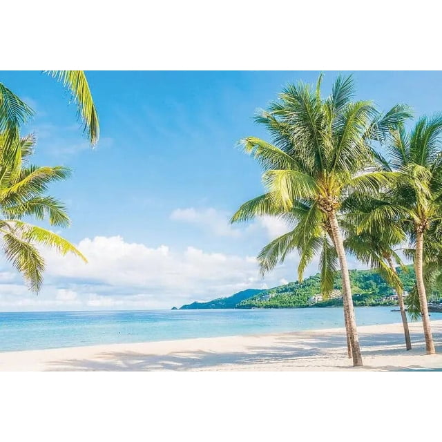 Laeacco Summer Sea Backdrops Sky Clouds Tropical Beach Palms Trees ...