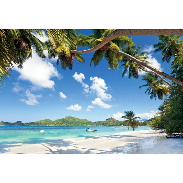 Laeacco Summer Sea Backdrops Sky Clouds Tropical Beach Palms Trees ...