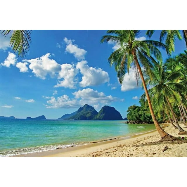 Laeacco Summer Sea Backdrops Sky Clouds Tropical Beach Palms Trees ...