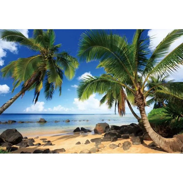 Laeacco Summer Sea Backdrops Sky Clouds Tropical Beach Palms Trees ...
