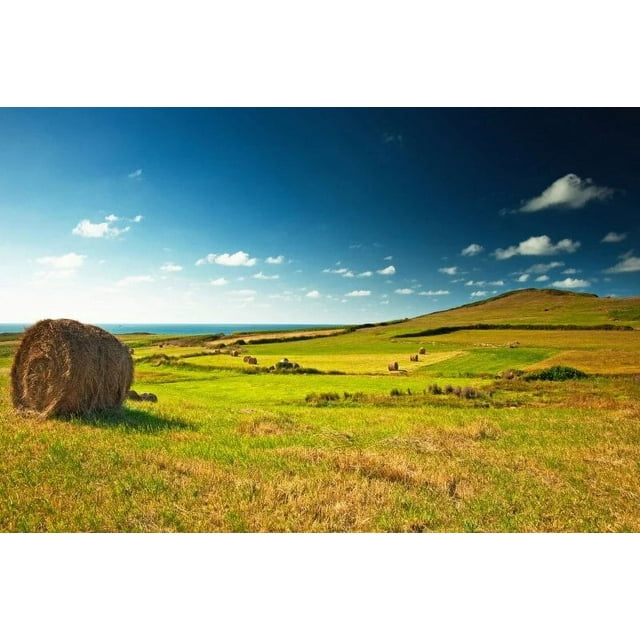 Laeacco Sunlight Rural Wheat Fields Hay Bale Harvest Portrait Scene ...