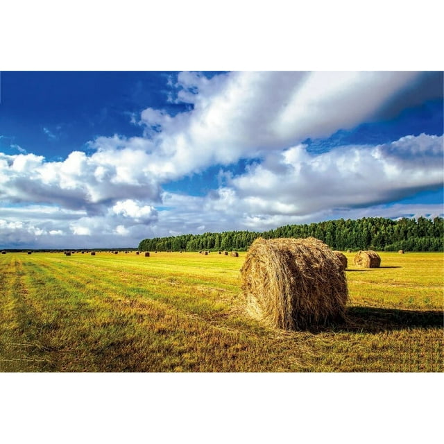 Laeacco Sunlight Rural Wheat Fields Hay Bale Harvest Portrait Scene ...