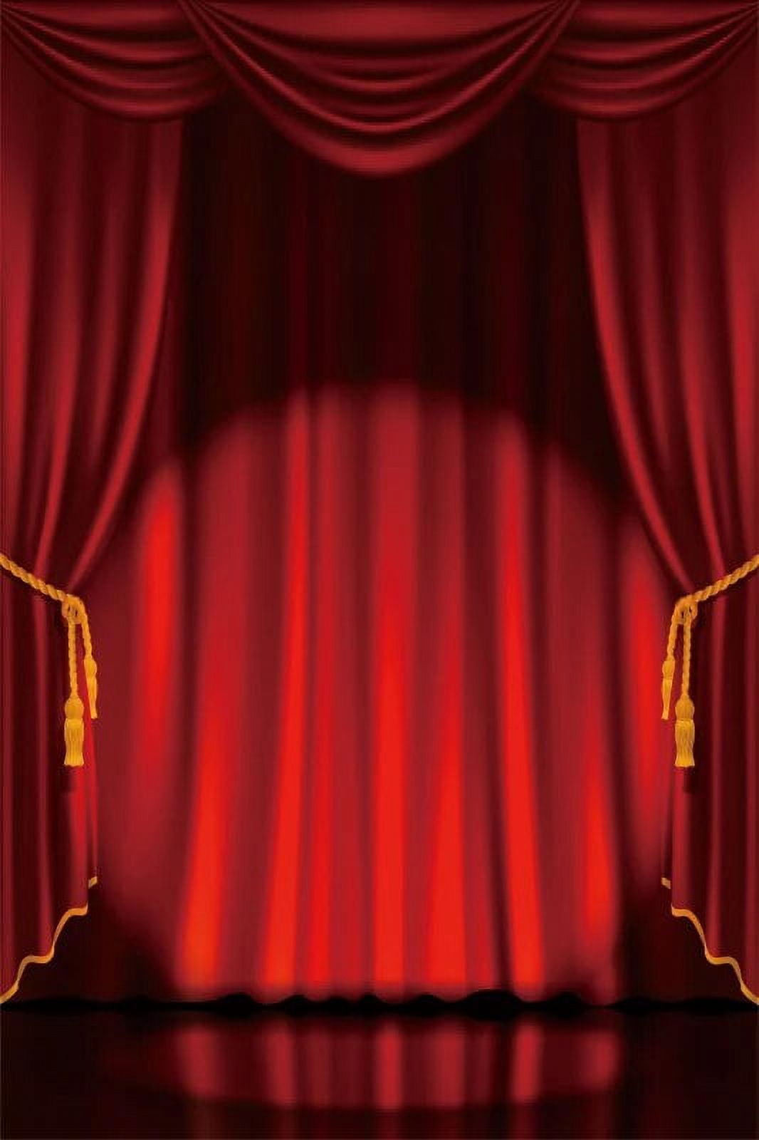 Laeacco Theme Party Backdrops Red Ceremony Carpet Stage Luxurious ...