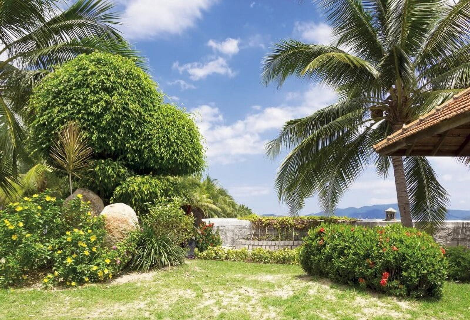 Laeacco Tropical Beach Background Hawaii Coconut Tree Banquet Ocean ...