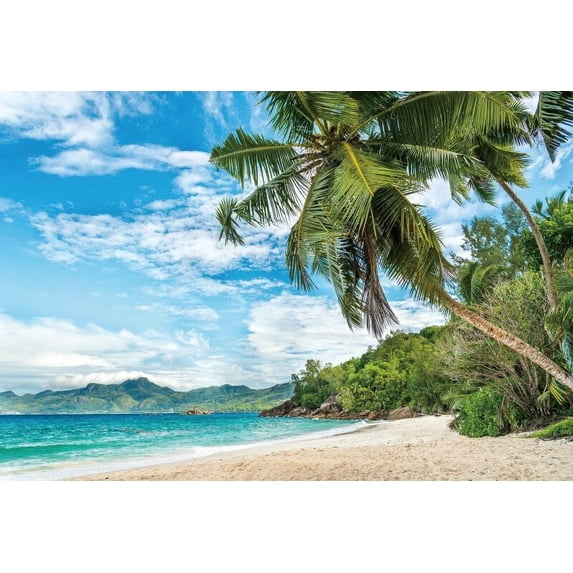 Laeacco Tropical Beach Background Hawaii Coconut Tree Banquet Ocean ...