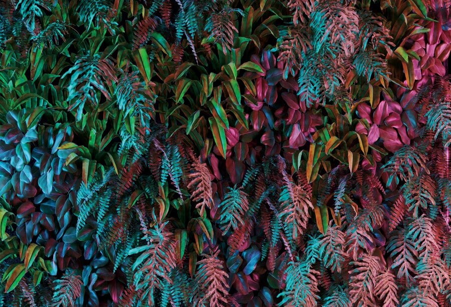 Laeacco Tropical Forest Green Plants Leaves Foliage Photography ...