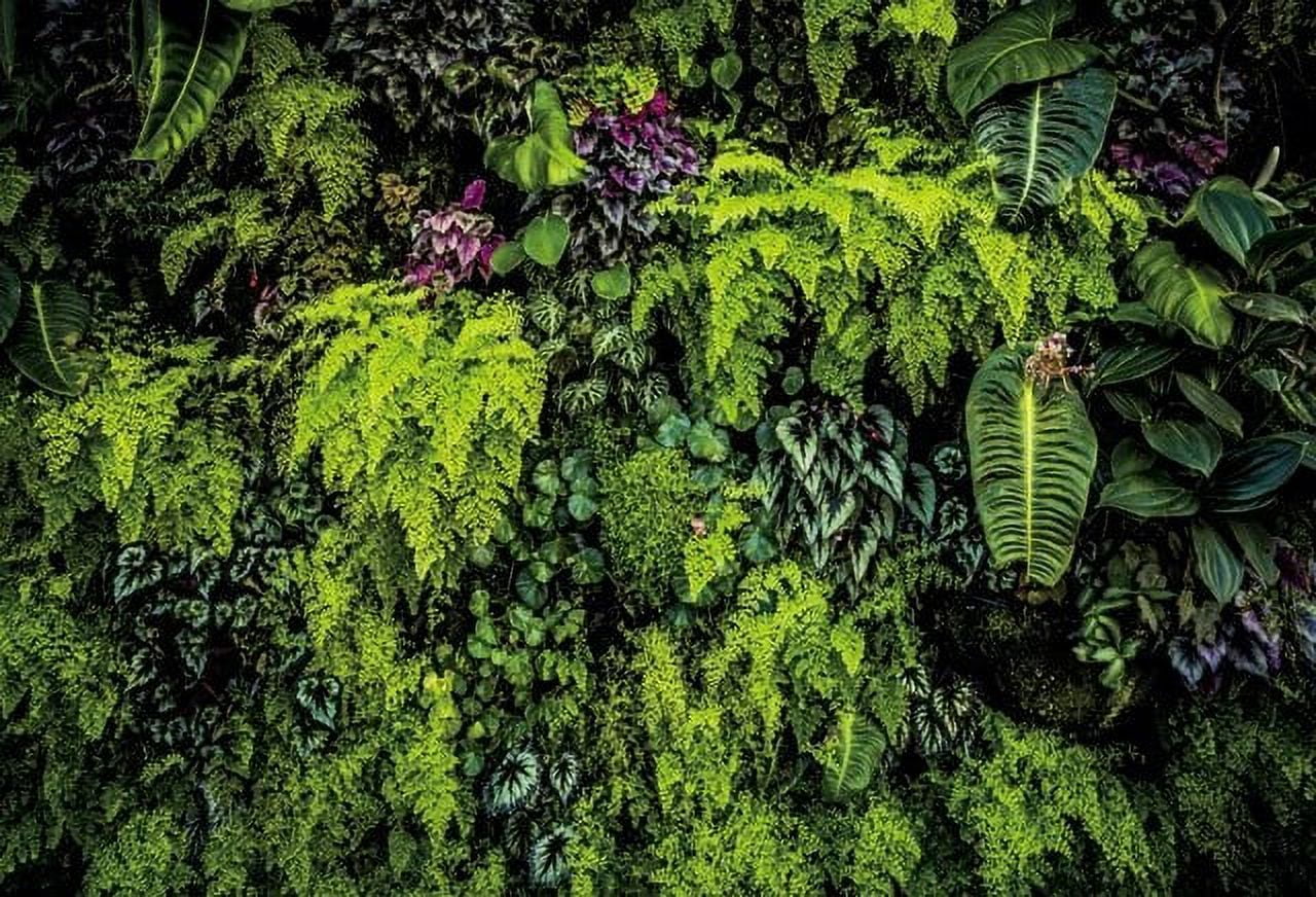 Laeacco Tropical Forest Green Plants Leaves Foliage Photography ...